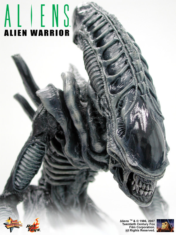MMS 38 Alien Warrior (Aliens) – Time to collect