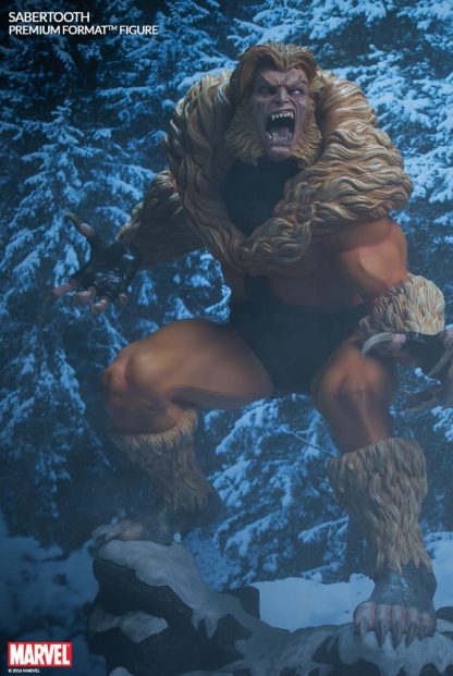 Sabretooth Classic – Exclusive (Marvel) – Time to collect