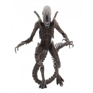 Xenomorph Warrior (Horror/Alien Resurrection) – Time to collect