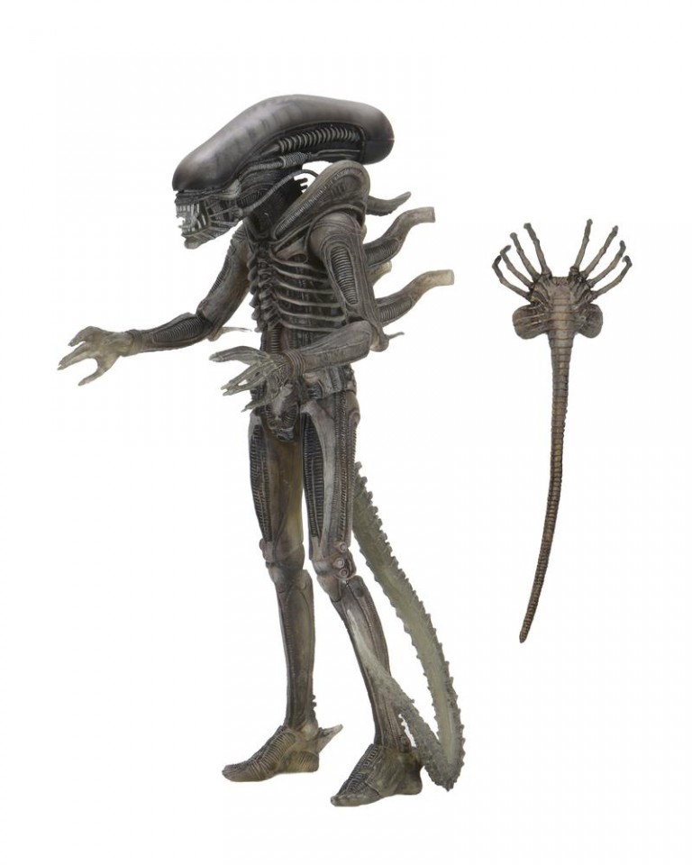 The Alien – Giger – Facehugger – Exclusive (Horror/Alien) – Time to collect