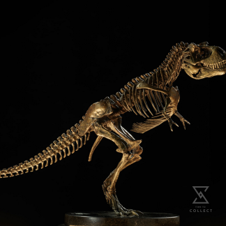 T-Rex Skeleton – Bronze (Jurassic Park / Fantasy / Movie) – Time to collect