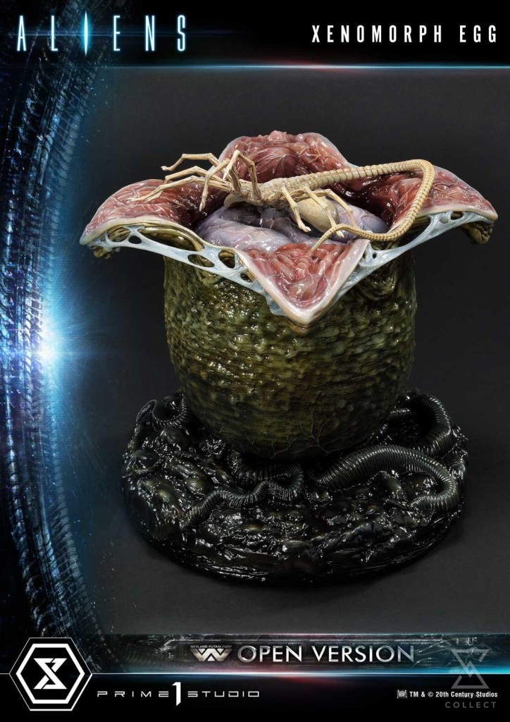 Xenomorph Egg – Open Version (Aliens Comics) – Time to collect