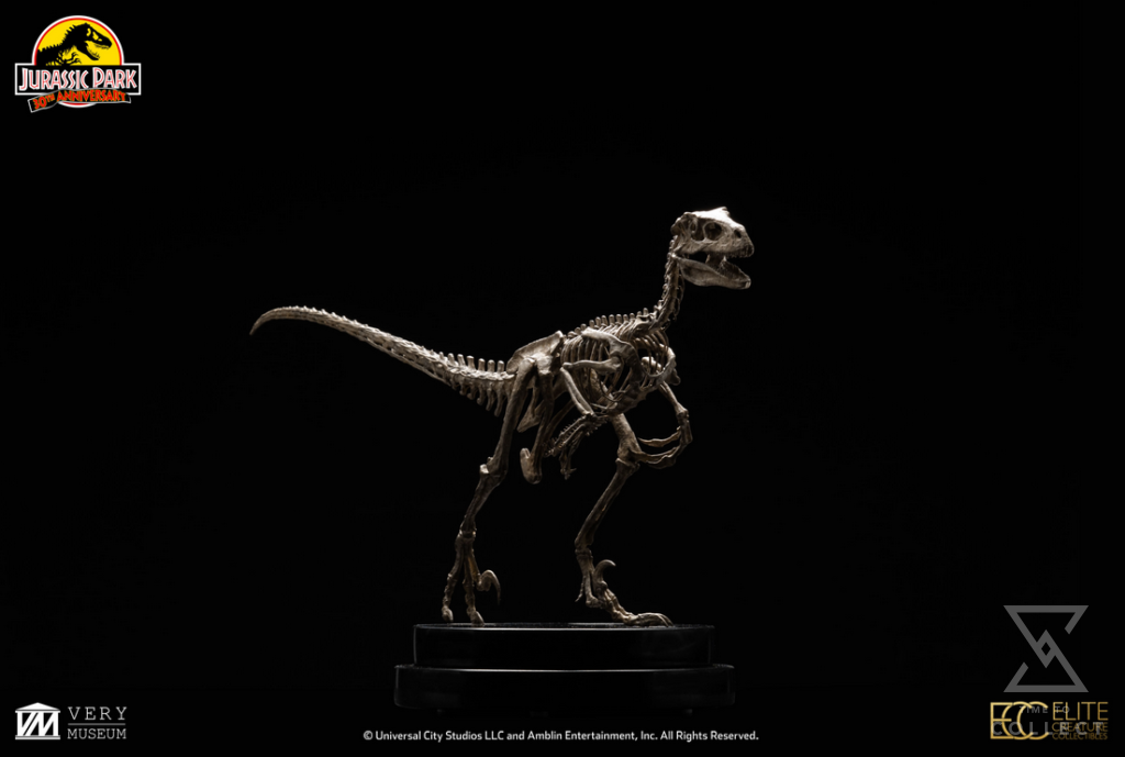 Raptor Skeleton (Jurassic Park / Fantasy / Movie) – Time to collect