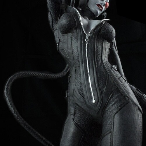 Catwoman – Batman Arkham City (DC) – Time to collect
