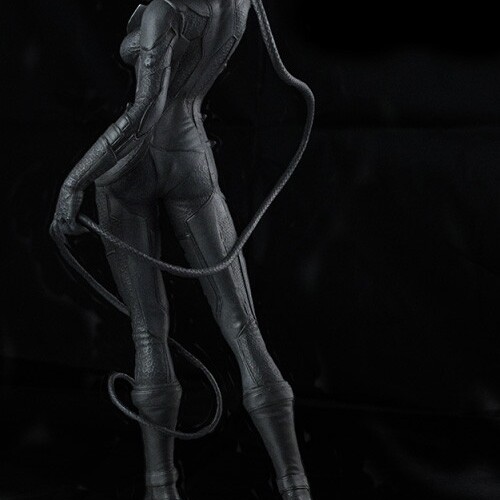 Catwoman – Batman Arkham City (DC) – Time to collect